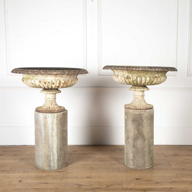 Pair of English Cast Iron Urns For Sale at 1stDibs