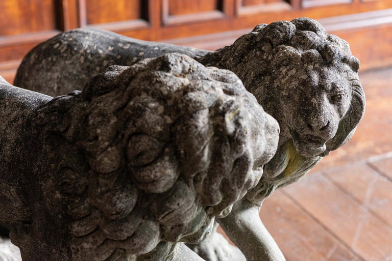 Pair of English Large Cast Stone Medici Lions, circa 1910 at 1stDibs
