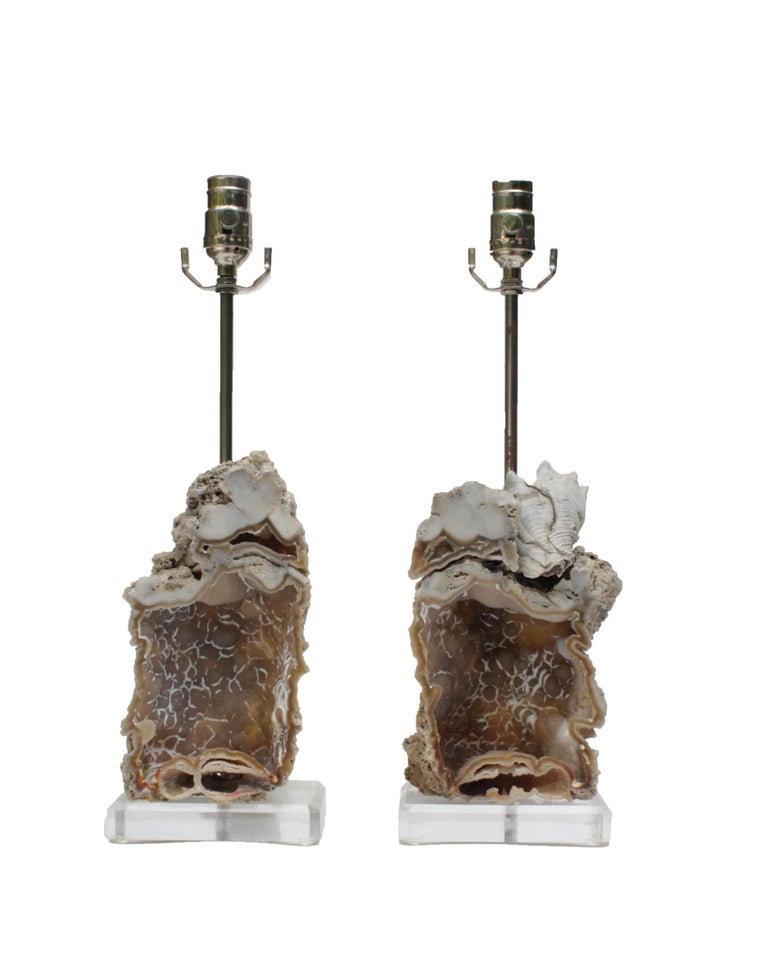 Pair of Fossil Agate Coral Lamps on Lucite For Sale at 1stDibs