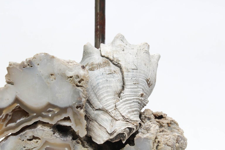 Pair of Fossil Agate Coral Lamps on Lucite For Sale at 1stDibs