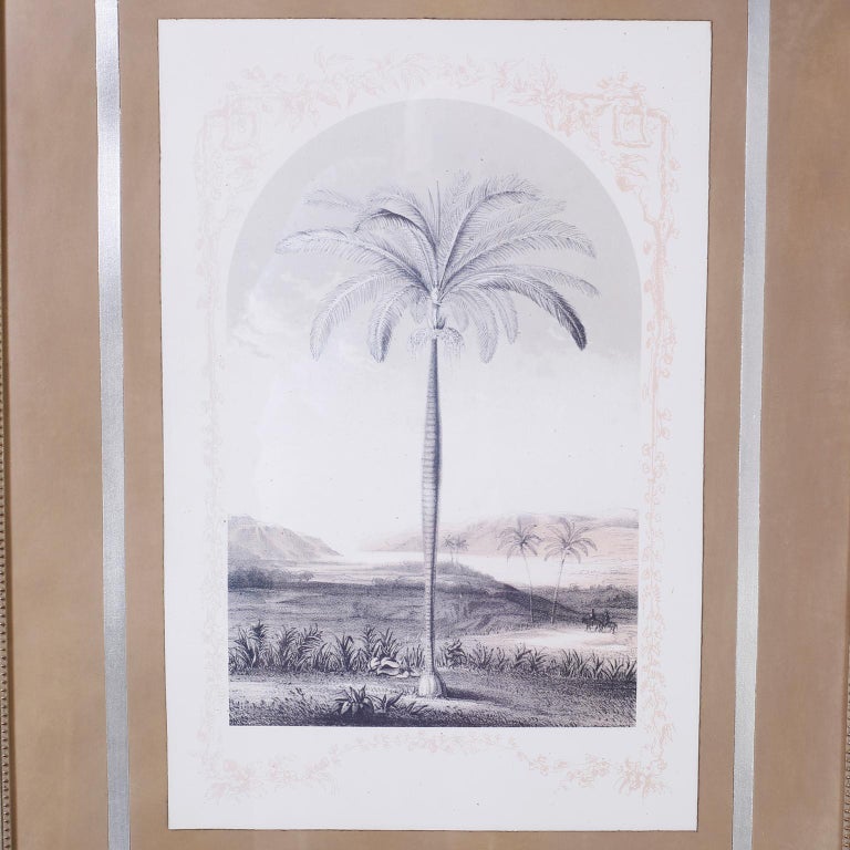 Pair of Framed and Matted Palm Tree Lithographs For Sale at 1stDibs