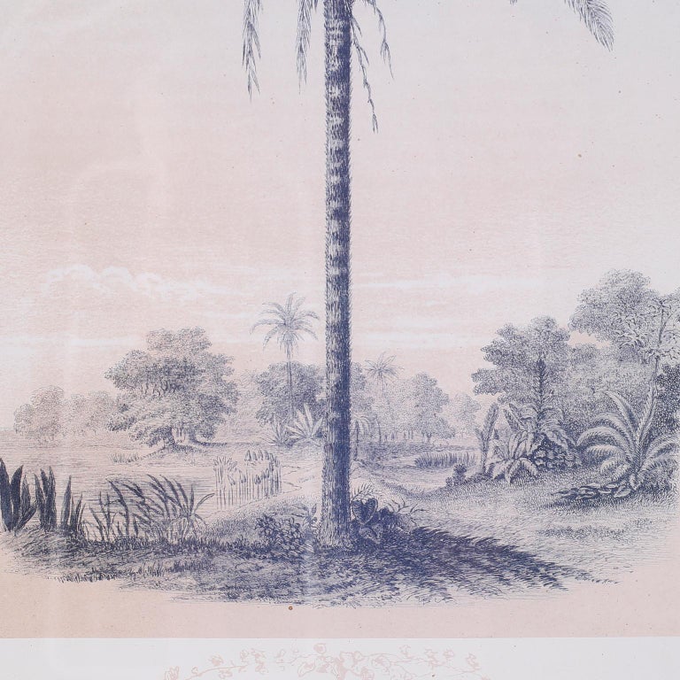 Pair of Framed and Matted Palm Tree Lithographs For Sale at 1stDibs