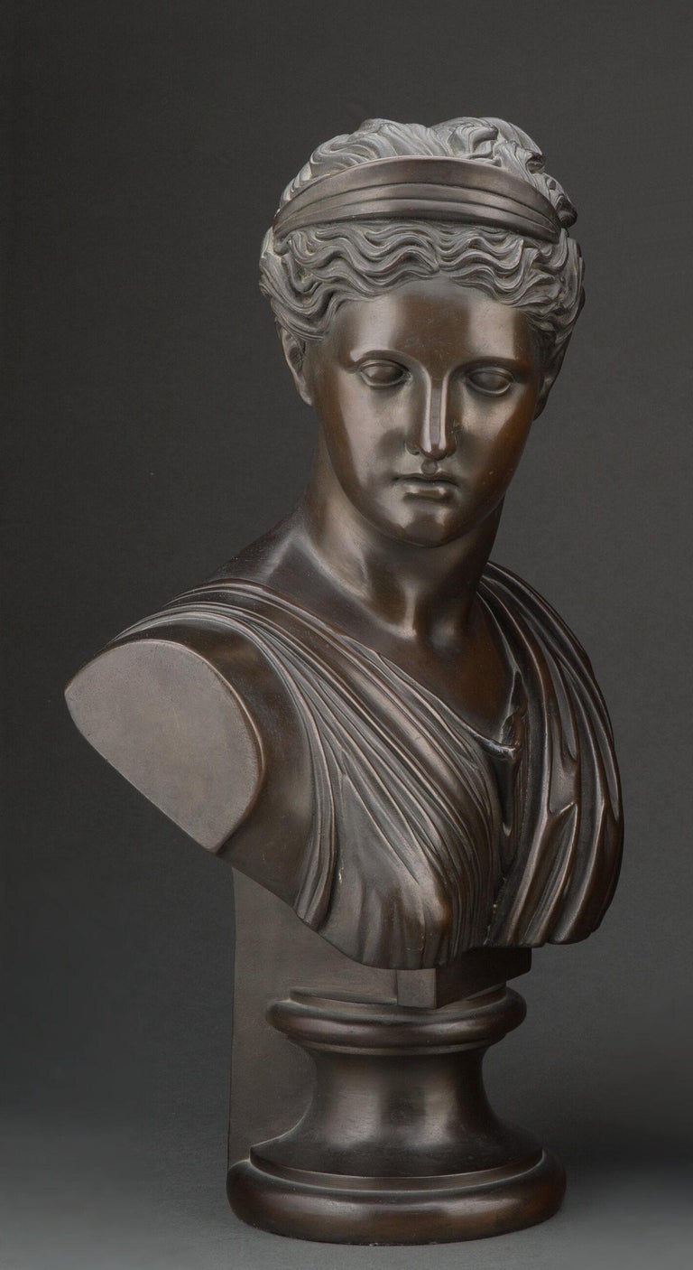 Pair of French 19 Century Apollo and Daphne Bronze Clad Busts For Sale ...