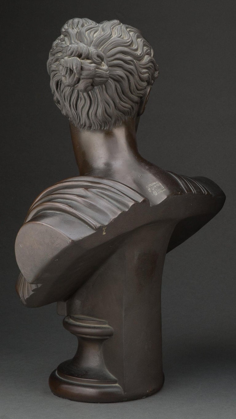 Pair of French 19 Century Apollo and Daphne Bronze Clad Busts For Sale ...