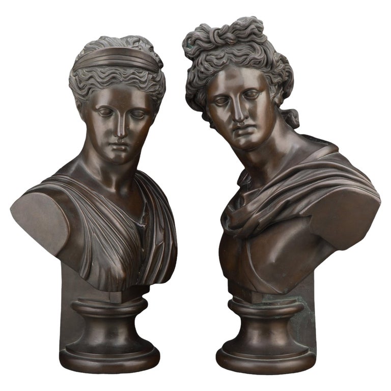 Pair of French 19 Century Apollo and Daphne Bronze Clad Busts For Sale ...