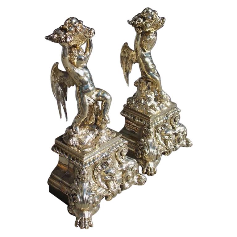 Pair of French Brass Flanking Cherub Fruit Shell Andirons with Paw Feet ...