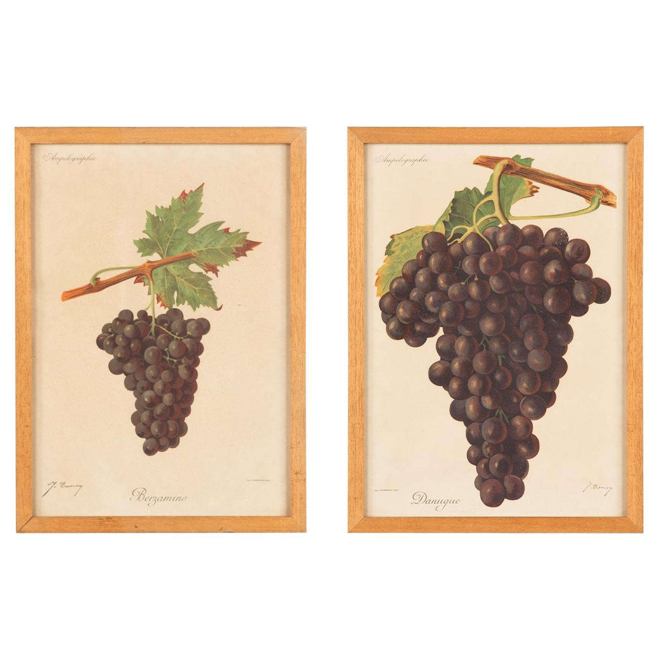 Pair of French Engraving by A. Watteau at 1stDibs