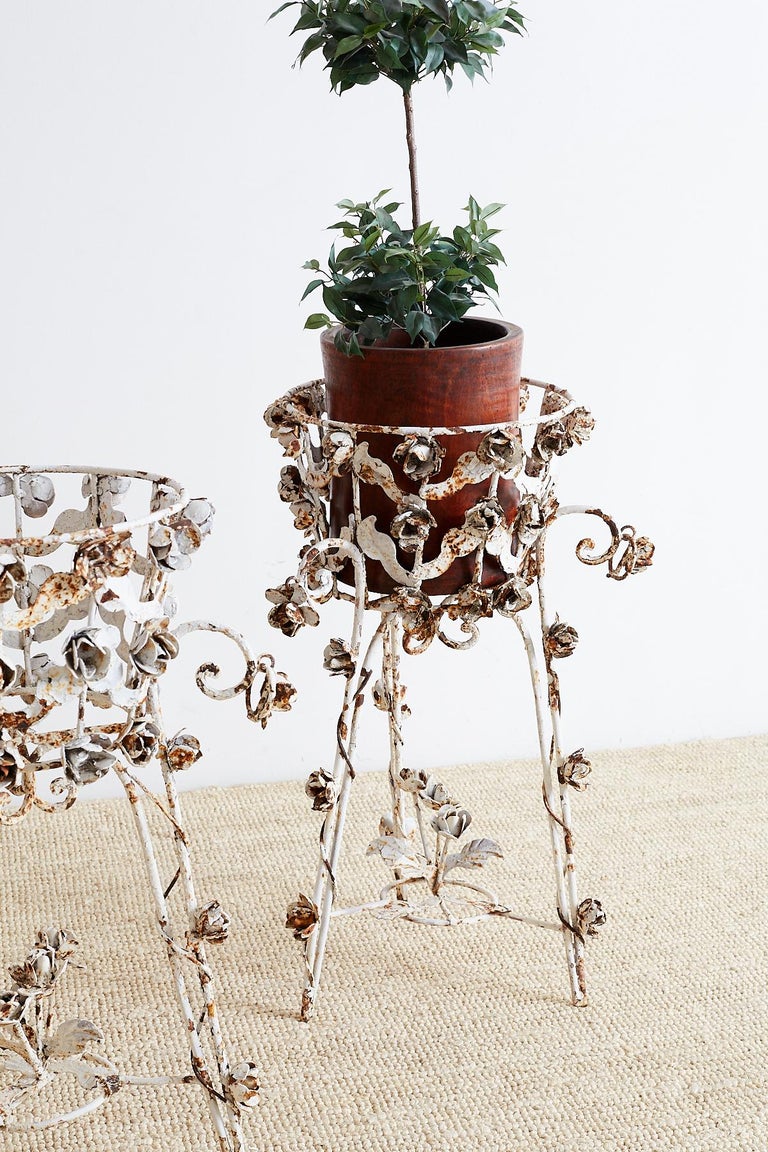 Pair of French Patinated Iron Jardinières or Plant Stands at 1stDibs