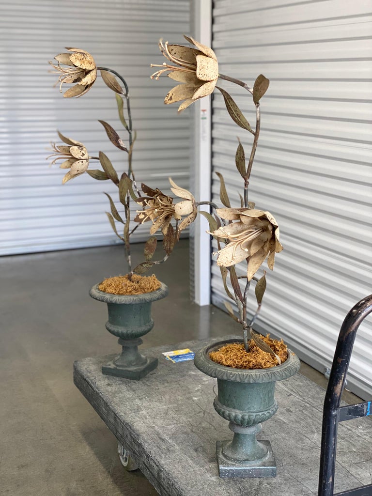Pair of French Tole Iron Lillies in Planters, Late 19th/ Early 20th ...