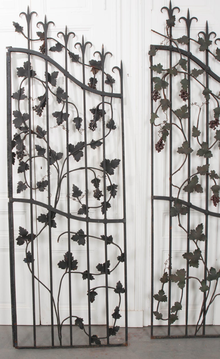 Pair of French Early 20th Century Painted Wrought-Iron "Grapevine ...