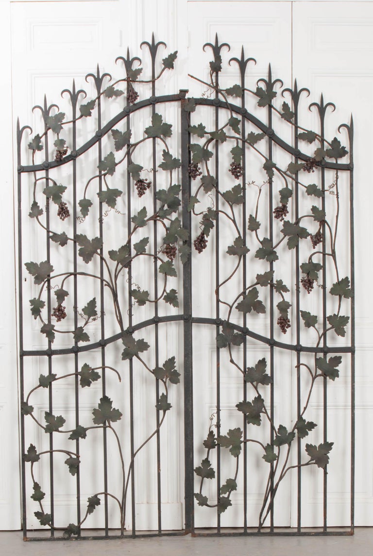 Pair of French Early 20th Century Painted Wrought-Iron "Grapevine ...