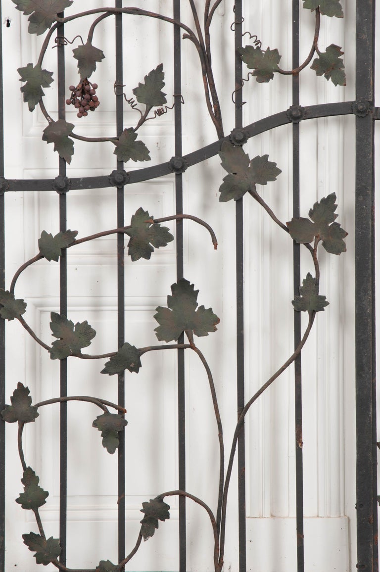 Pair of French Early 20th Century Painted Wrought-Iron "Grapevine ...