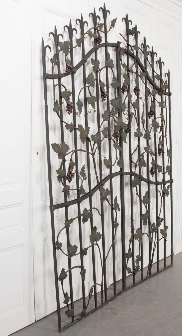 Pair of French Early 20th Century Painted Wrought-Iron "Grapevine ...