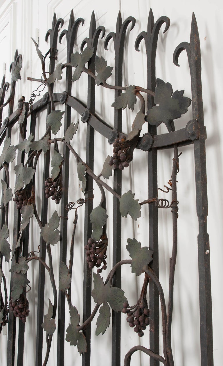 Pair of French Early 20th Century Painted Wrought-Iron "Grapevine ...