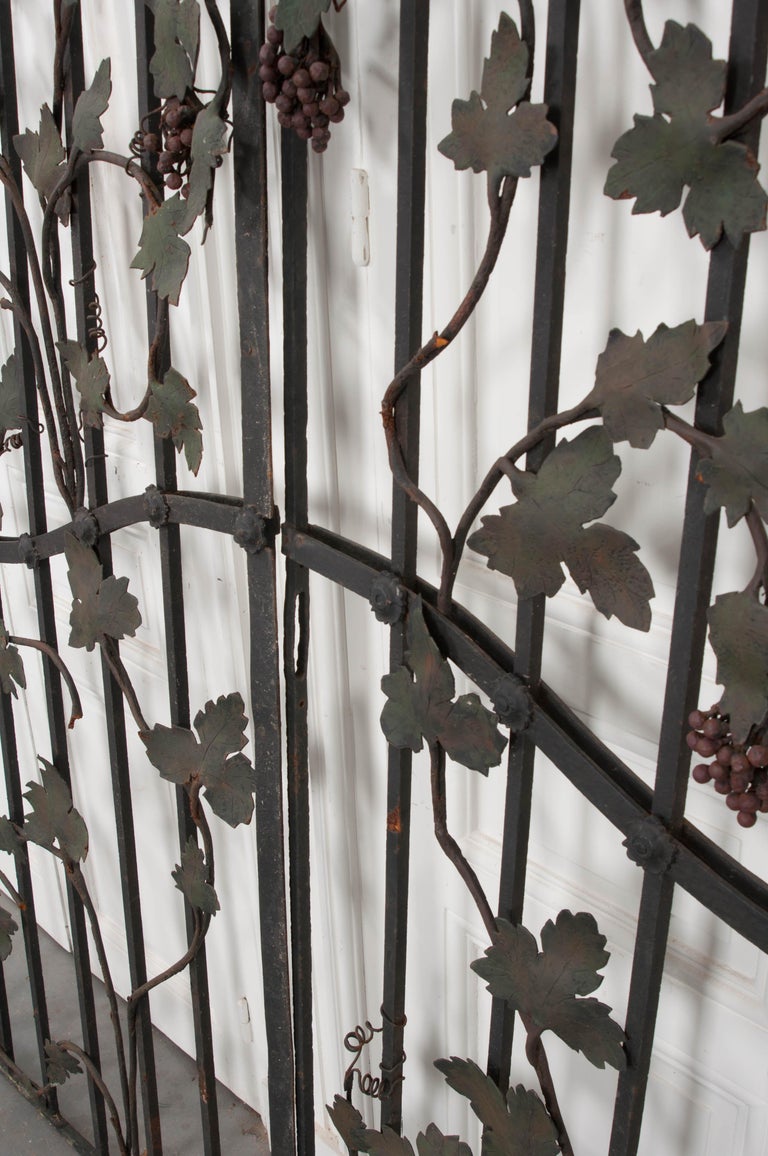 Pair of French Early 20th Century Painted Wrought-Iron "Grapevine ...
