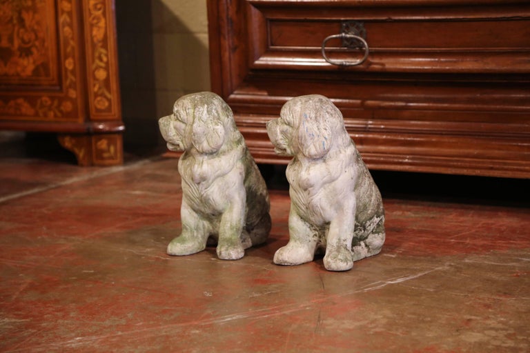 Pair of French Vintage Patinated Cast Stone Saint Bernard Dogs ...