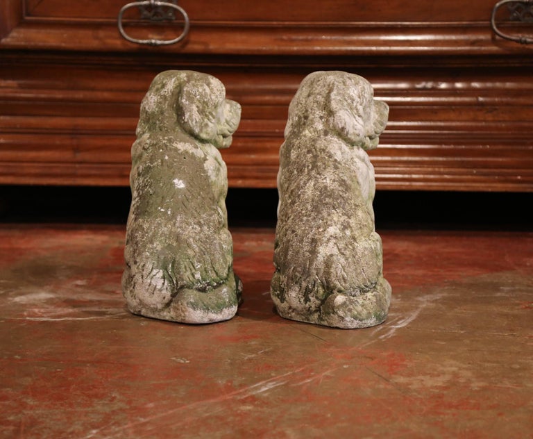 Pair of French Vintage Patinated Cast Stone Saint Bernard Dogs ...