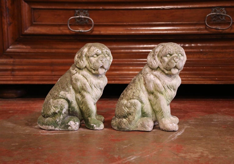 Pair of French Vintage Patinated Cast Stone Saint Bernard Dogs ...