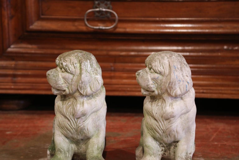 Pair of French Vintage Patinated Cast Stone Saint Bernard Dogs ...