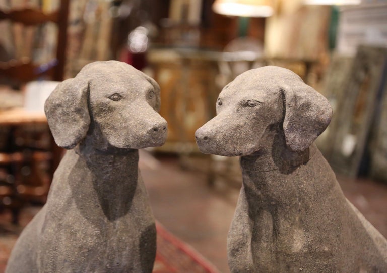 Pair of French Weathered Carved Stone Labrador Dog Sculptures Garden ...