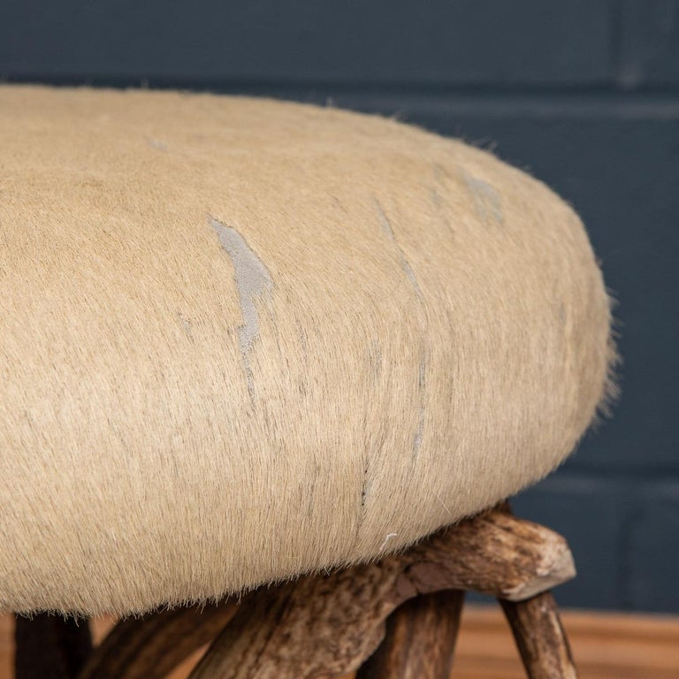 Pair of Hall Antler Horn Chairs by Schirato, Italy For Sale at 1stDibs