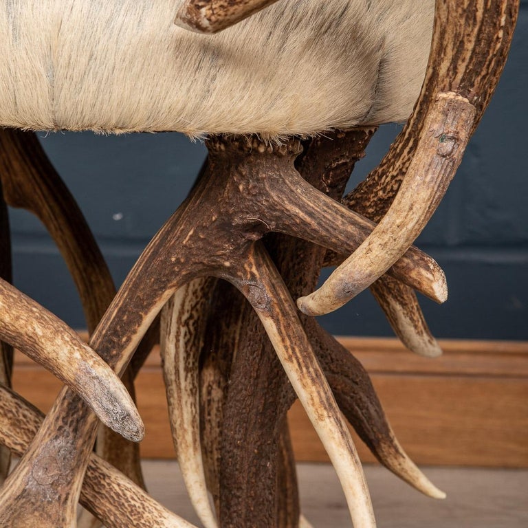 Pair of Hall Antler Horn Chairs by Schirato, Italy For Sale at 1stDibs