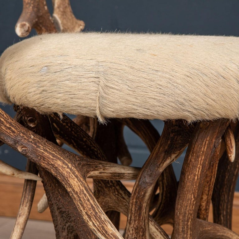 Pair of Hall Antler Horn Chairs by Schirato, Italy For Sale at 1stDibs