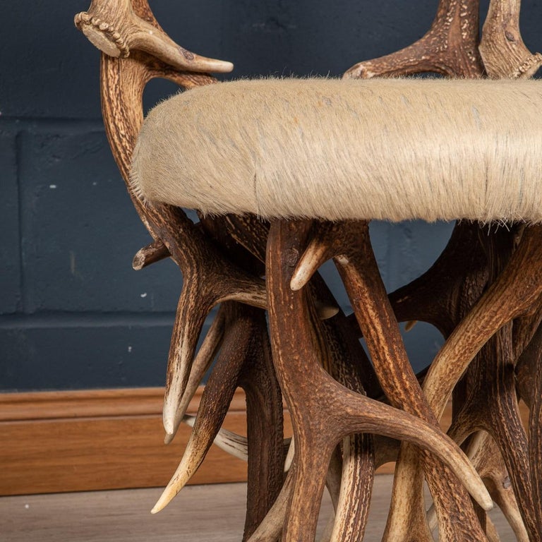 Pair of Hall Antler Horn Chairs by Schirato, Italy For Sale at 1stDibs