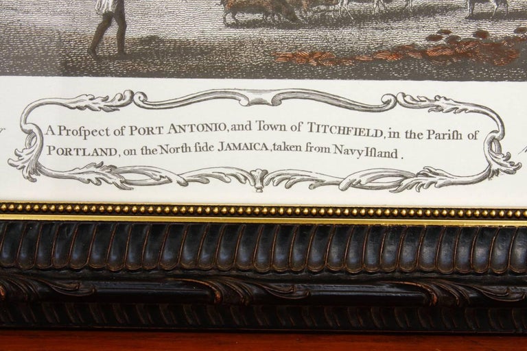 Pair of Hand-Colored British Colonial Prints of Jamaica at 1stDibs ...