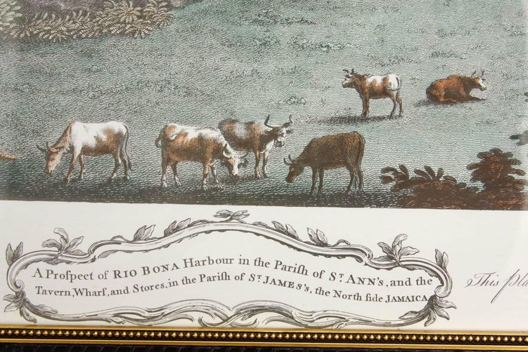 Pair of Hand-Colored British Colonial Prints of Jamaica at 1stDibs ...