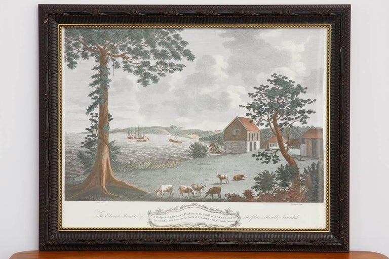 Pair of Hand-Colored British Colonial Prints of Jamaica at 1stDibs ...