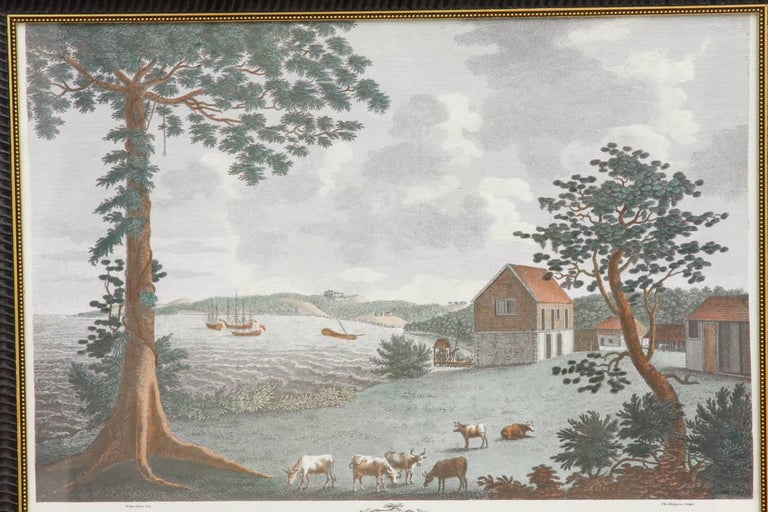 Pair of Hand-Colored British Colonial Prints of Jamaica at 1stDibs ...