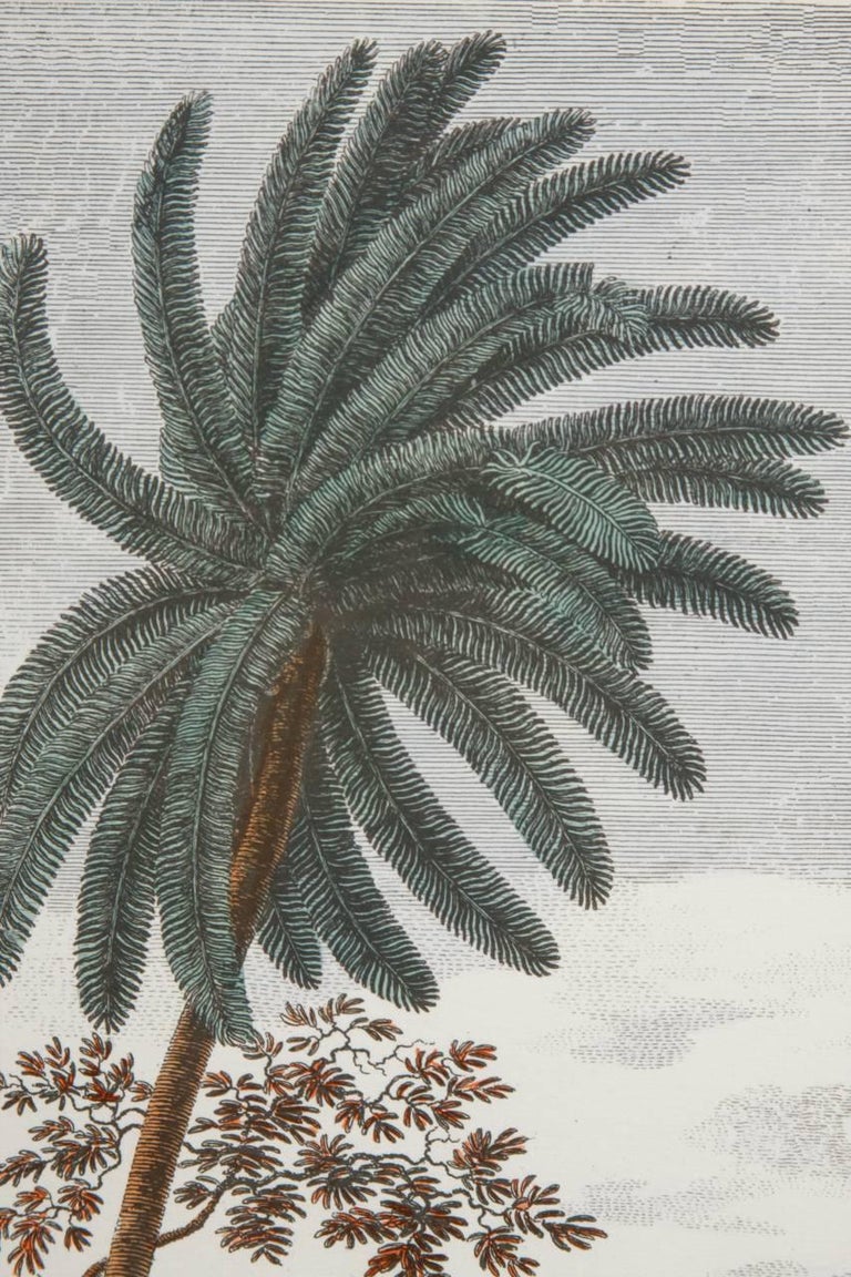 Pair of Hand-Colored British Colonial Prints of Jamaica at 1stDibs ...