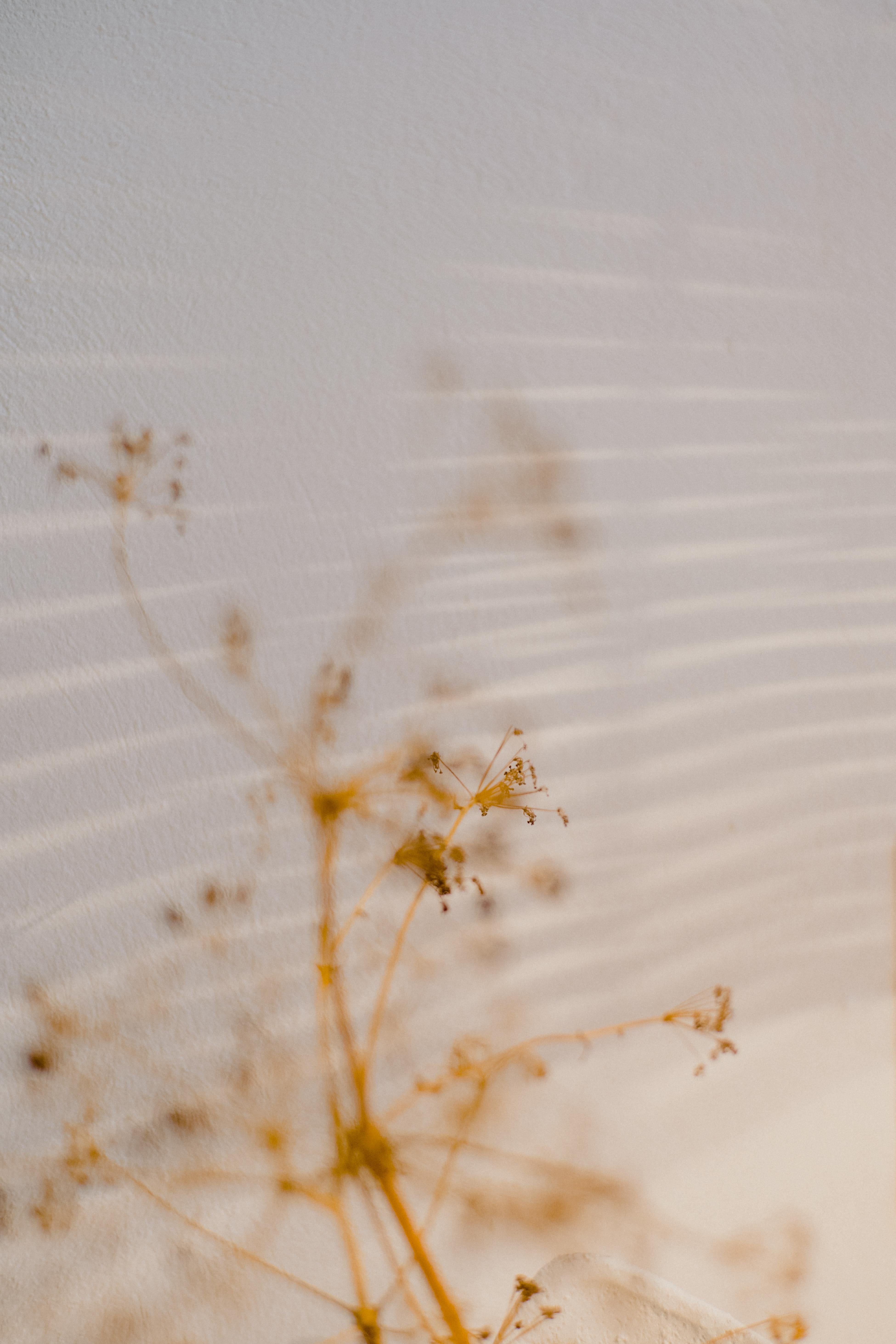 Pair of, Handmade, Wall Lamp, Natural Rattan Brass, Mediterranean ...