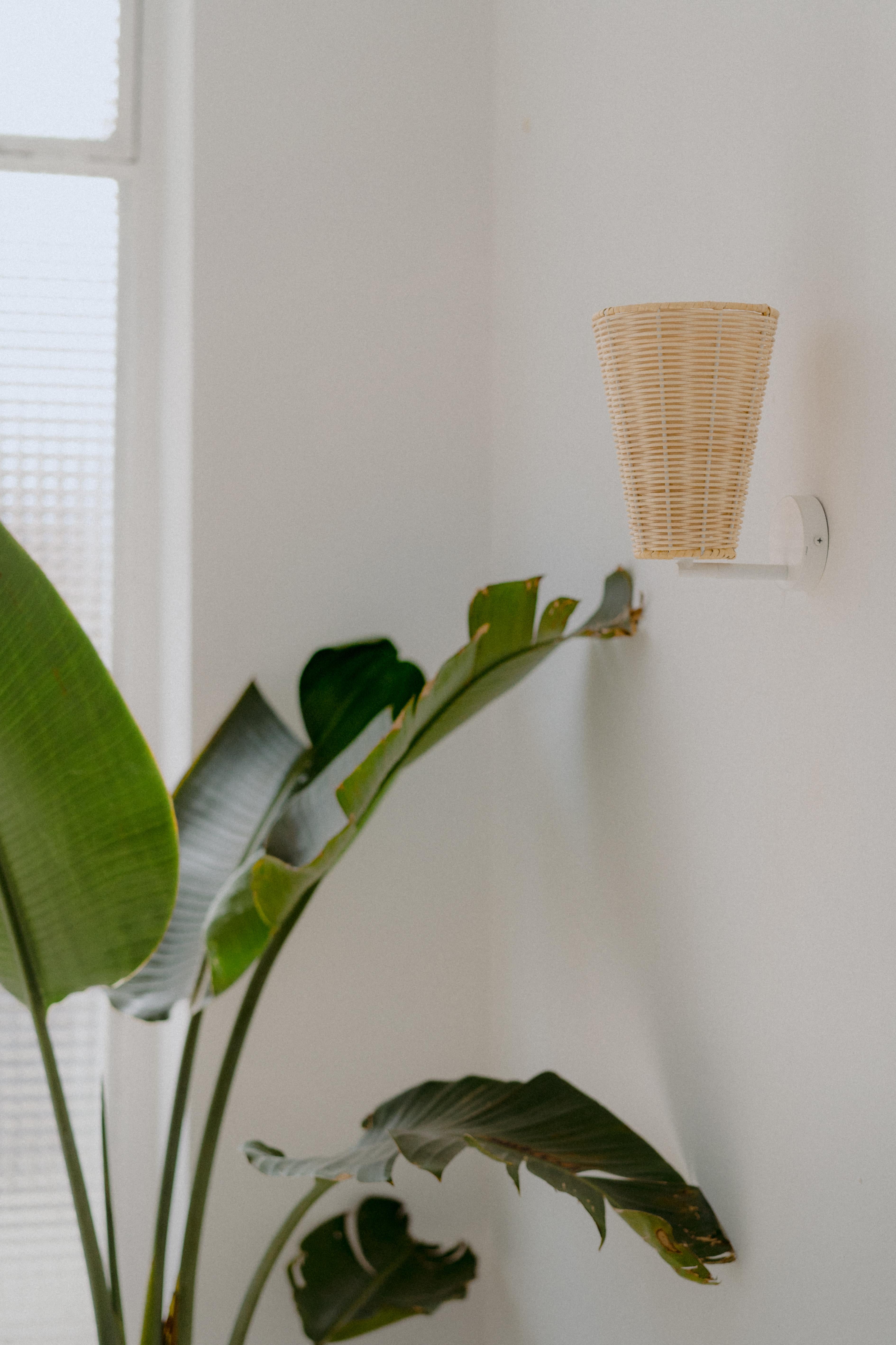 Pair of, Handmade, Wall Lamp Sconce, Rattan Cone, by Mediterranean ...