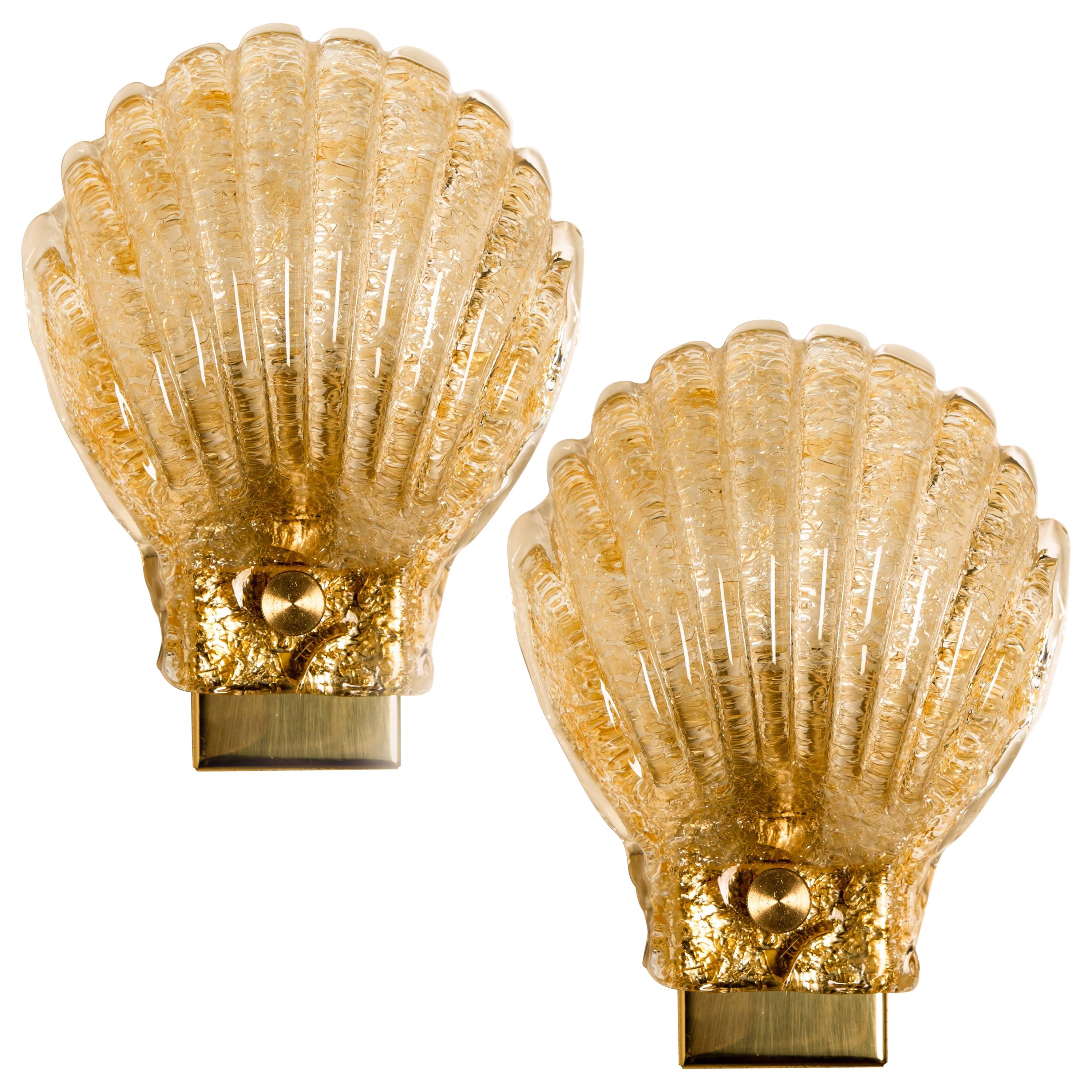 Pair of Italian Murano Glass Sea Shell Sconces, Italy, 1960 at 1stDibs