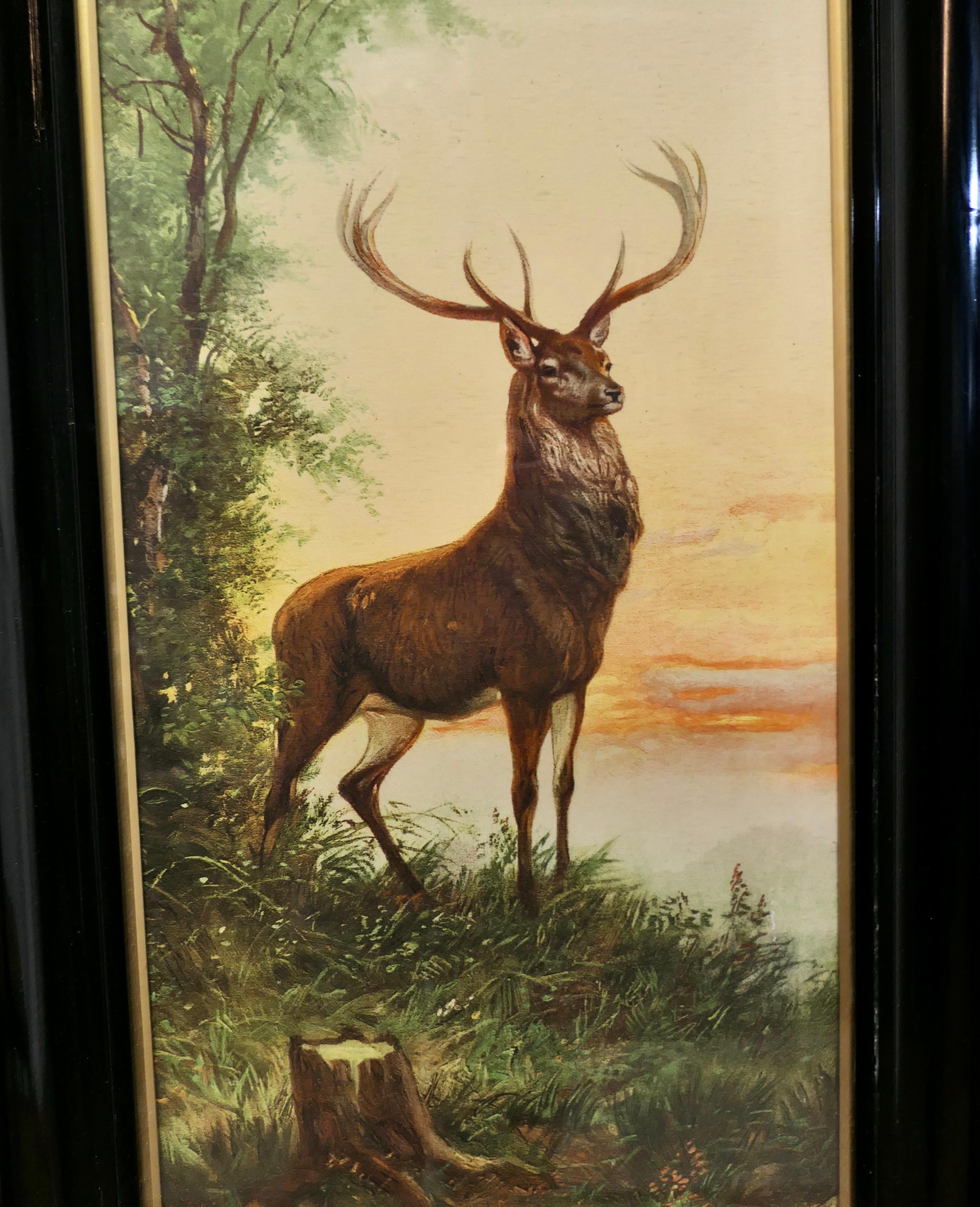 Pair of Large 19th Century Framed Highland Red Deer Stags For Sale at ...