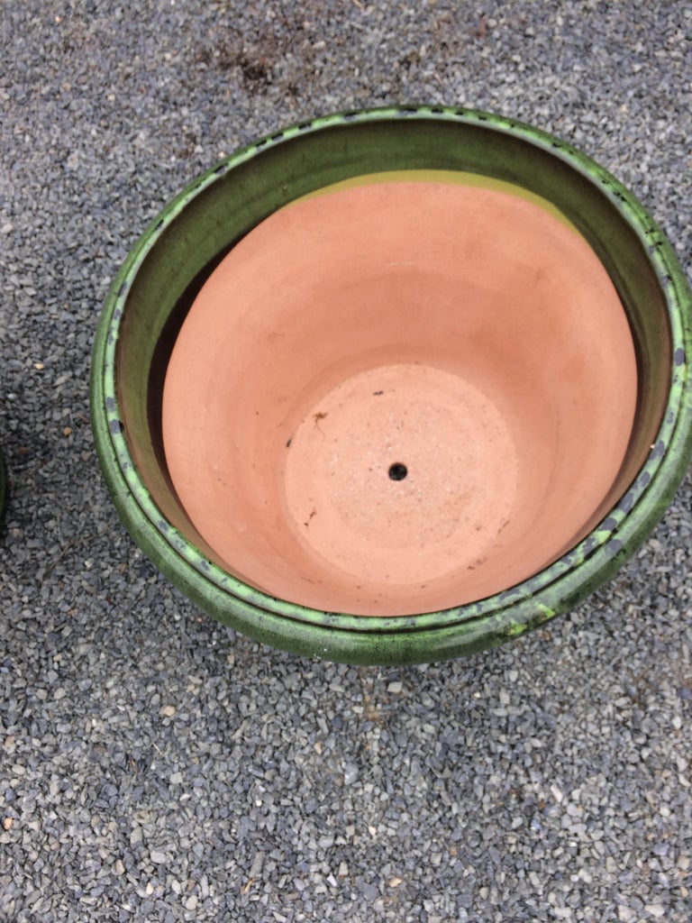 Pair of Large Earthy Green Glazed Terracotta Flower Pot Planters ...