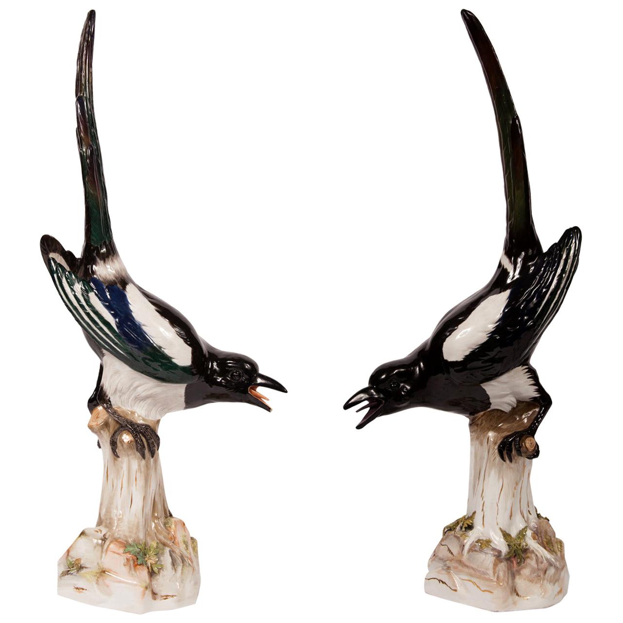 Large Meissen Porcelain Model of a Cockatoo at 1stDibs