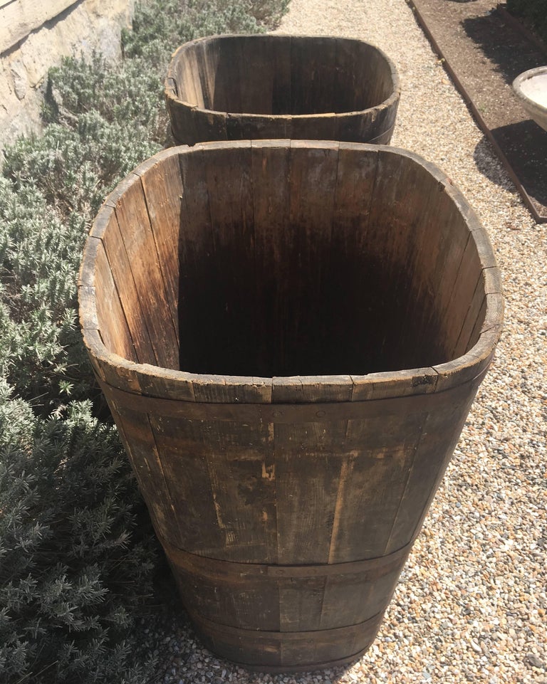 Pair of Large Signed Alsatian Wooden Master Grape Collection Tub ...