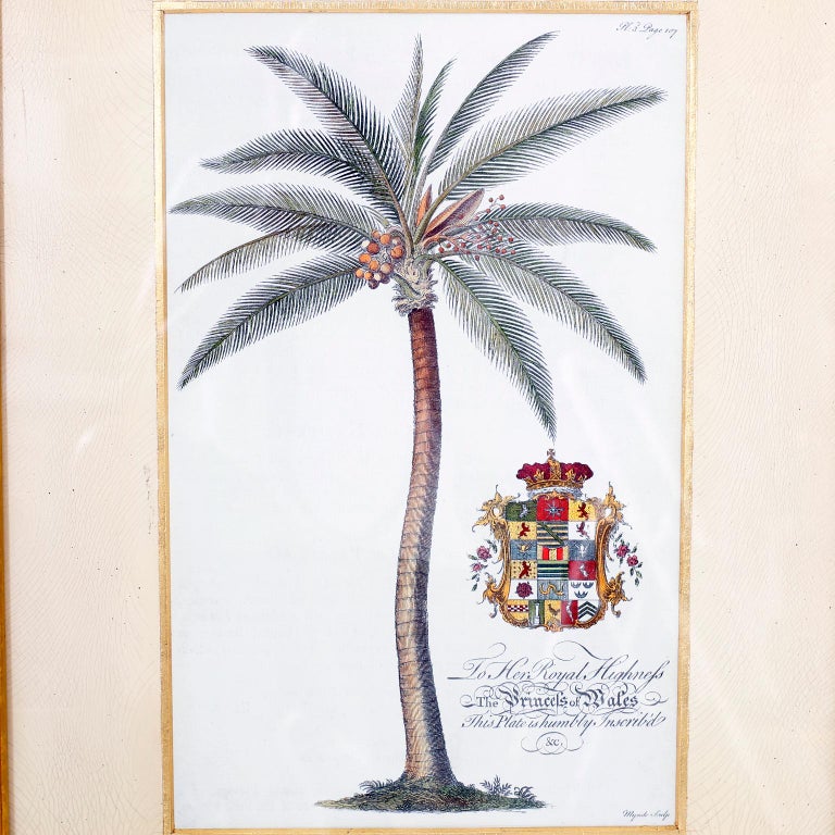 Pair of Large Tropical Palm Tree Prints at 1stDibs | large tropical trees