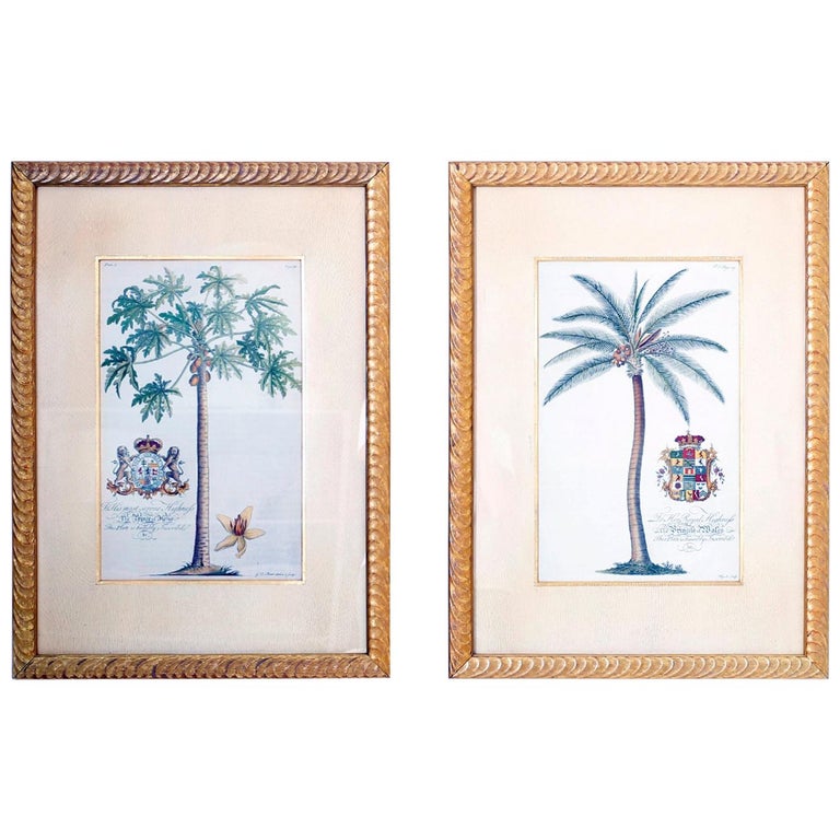 Pair of Large Tropical Palm Tree Prints at 1stDibs | large tropical trees