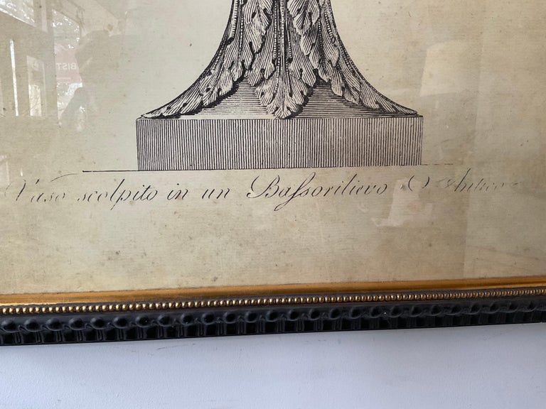 Pair of Large Urn Prints in Custom Frames For Sale at 1stDibs