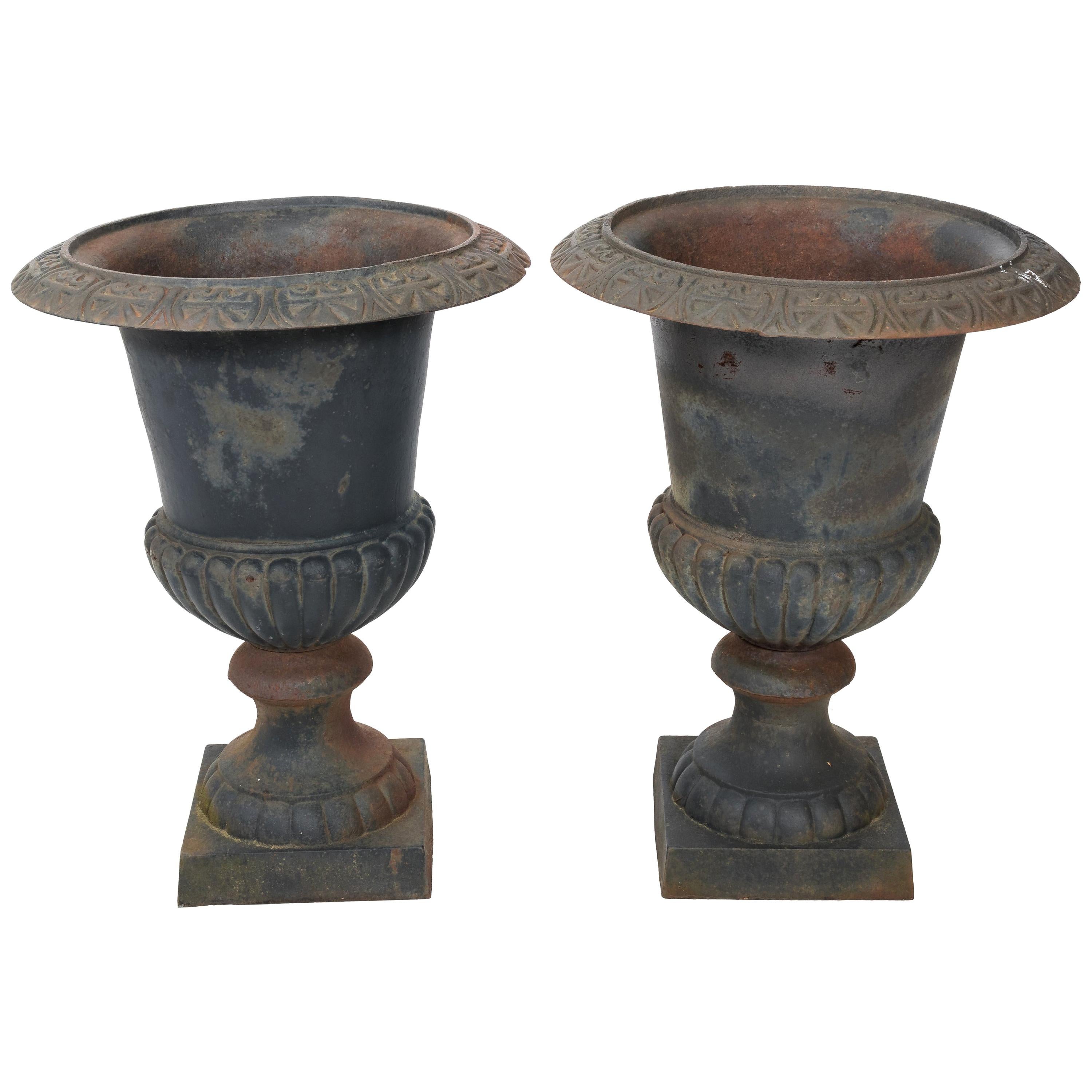 Pair of Large Victorian Style Cast Iron Urns at 1stDibs