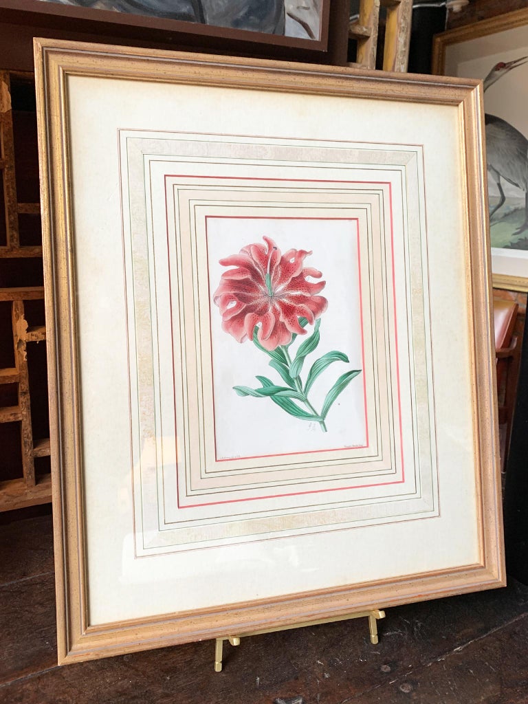 Pair of Late 19th Century Botanical Lithographs For Sale at 1stDibs