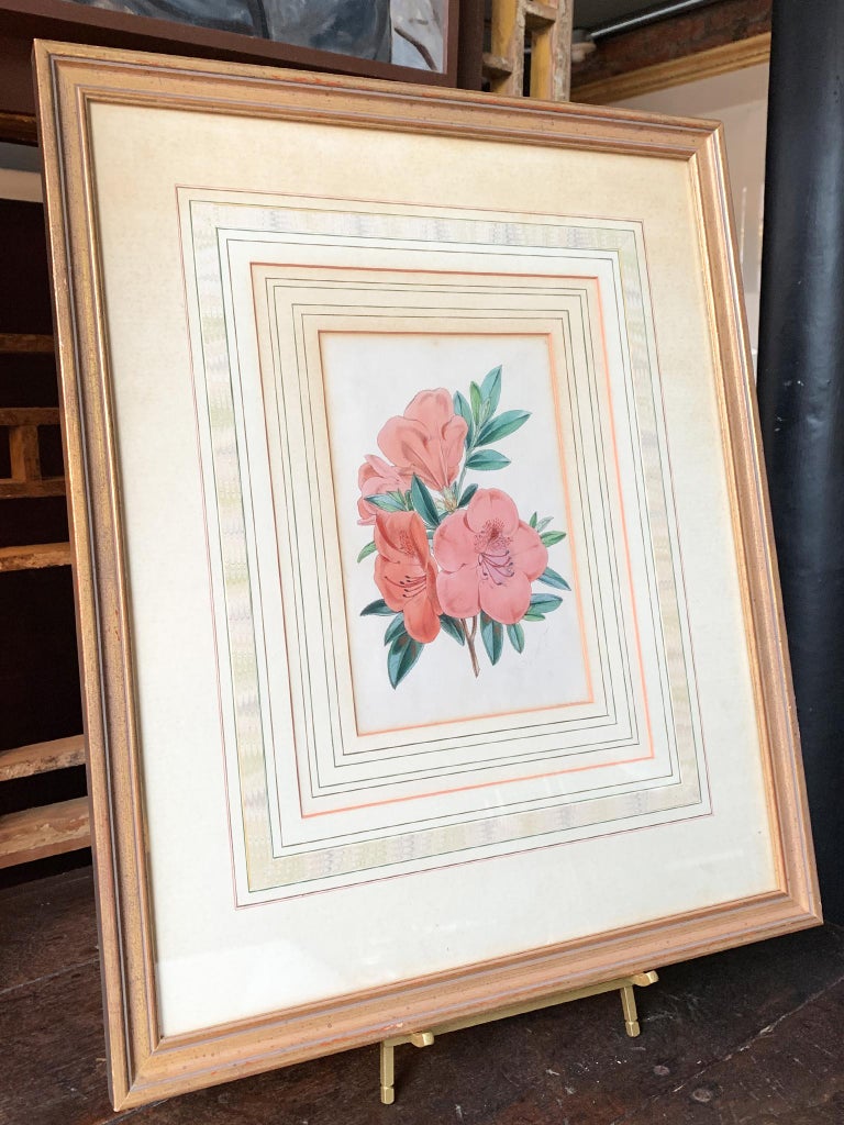 Pair of Late 19th Century Botanical Lithographs For Sale at 1stDibs