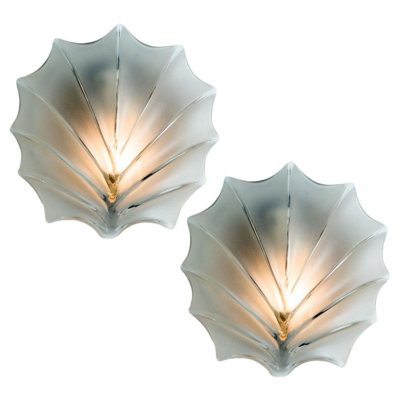 Pair of Shell Shaped Ribble Glass Wall Lights, Germany For Sale at 1stDibs