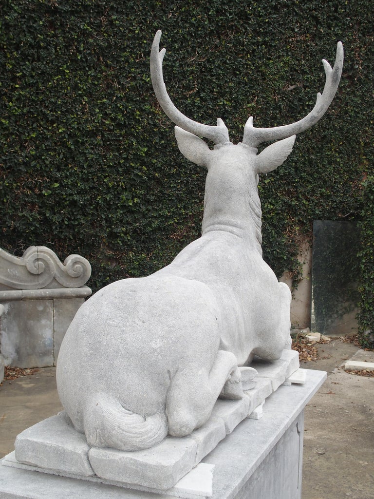 Pair of Life-Sized Italian Carved Limestone Stags on Pedestals at 1stDibs