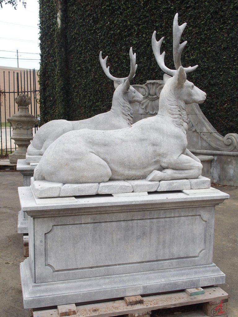 Pair of Life-Sized Italian Carved Limestone Stags on Pedestals at 1stDibs