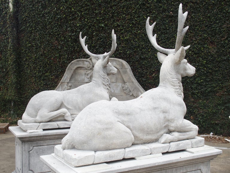 Pair of Life-Sized Italian Carved Limestone Stags on Pedestals at 1stDibs